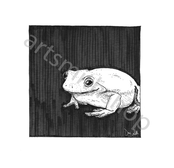 Digital Print Drawing Frog | Etsy
