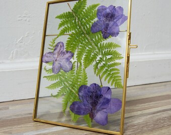 Pressed Azaleas - Etsy