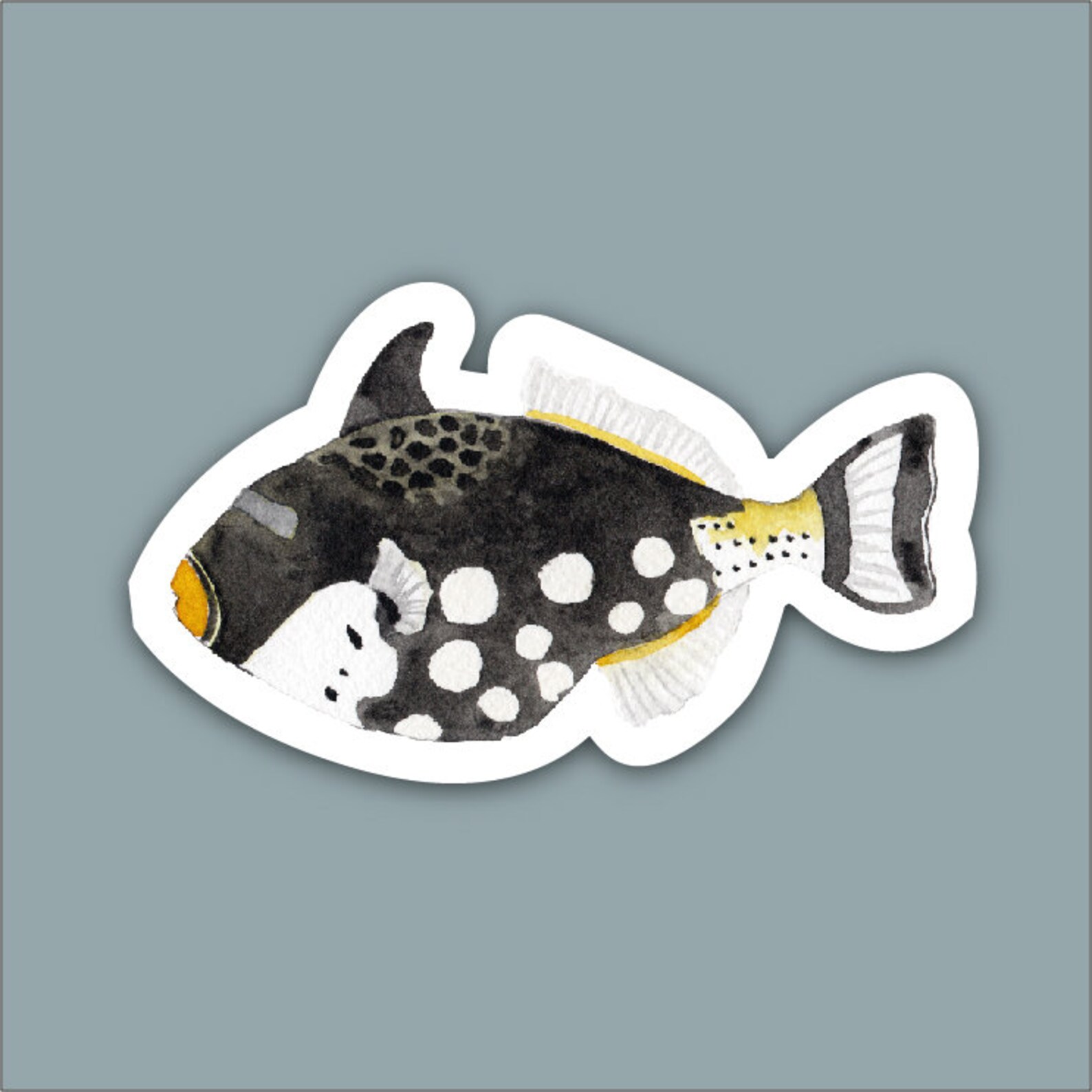 STICKERS PESCI confezione da 4 acquarello illustrazione | Etsy