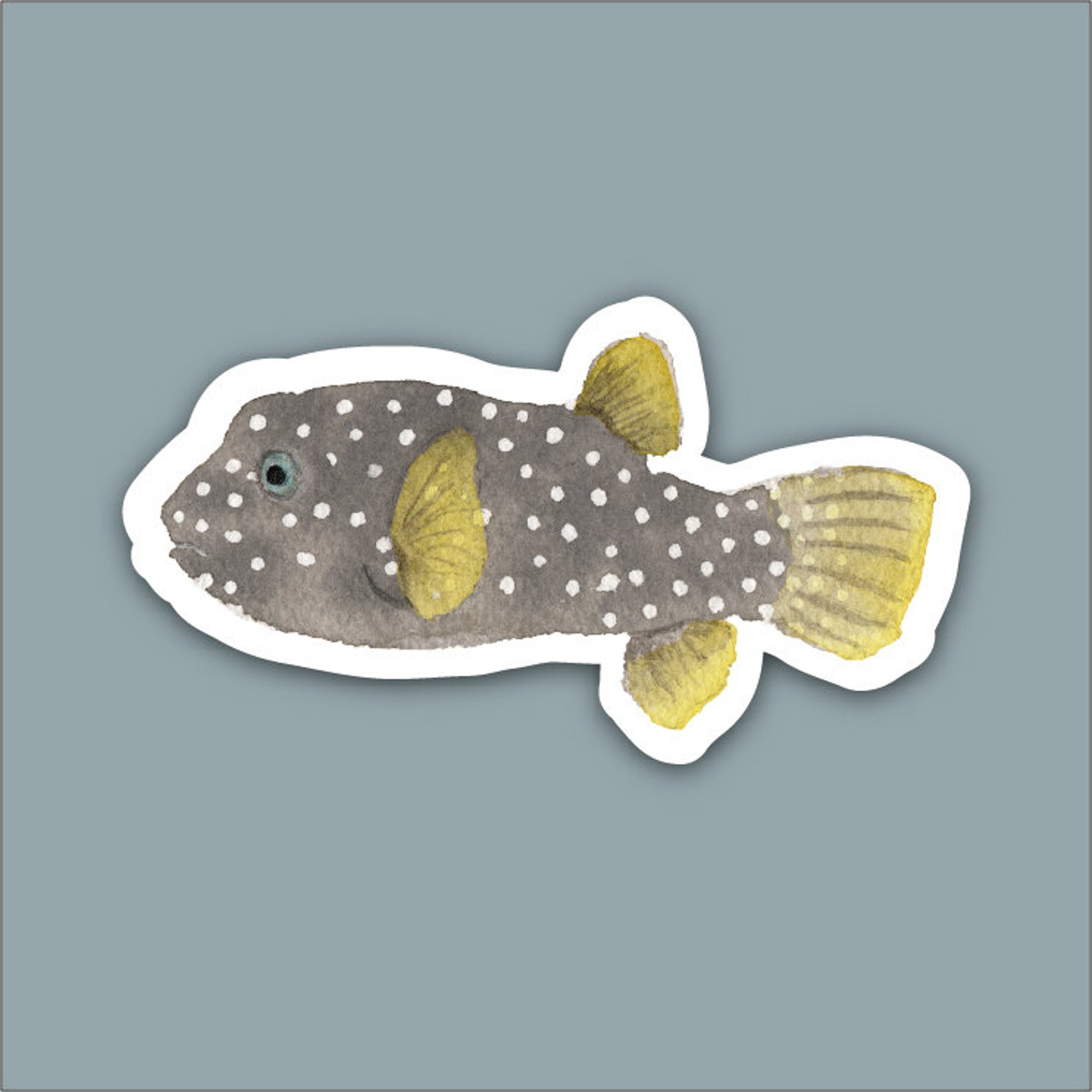 STICKERS PESCI confezione da 4 acquarello illustrazione | Etsy