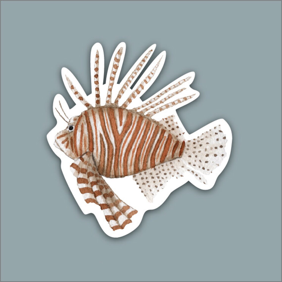 STICKERS PESCI confezione da 4 acquarello illustrazione | Etsy