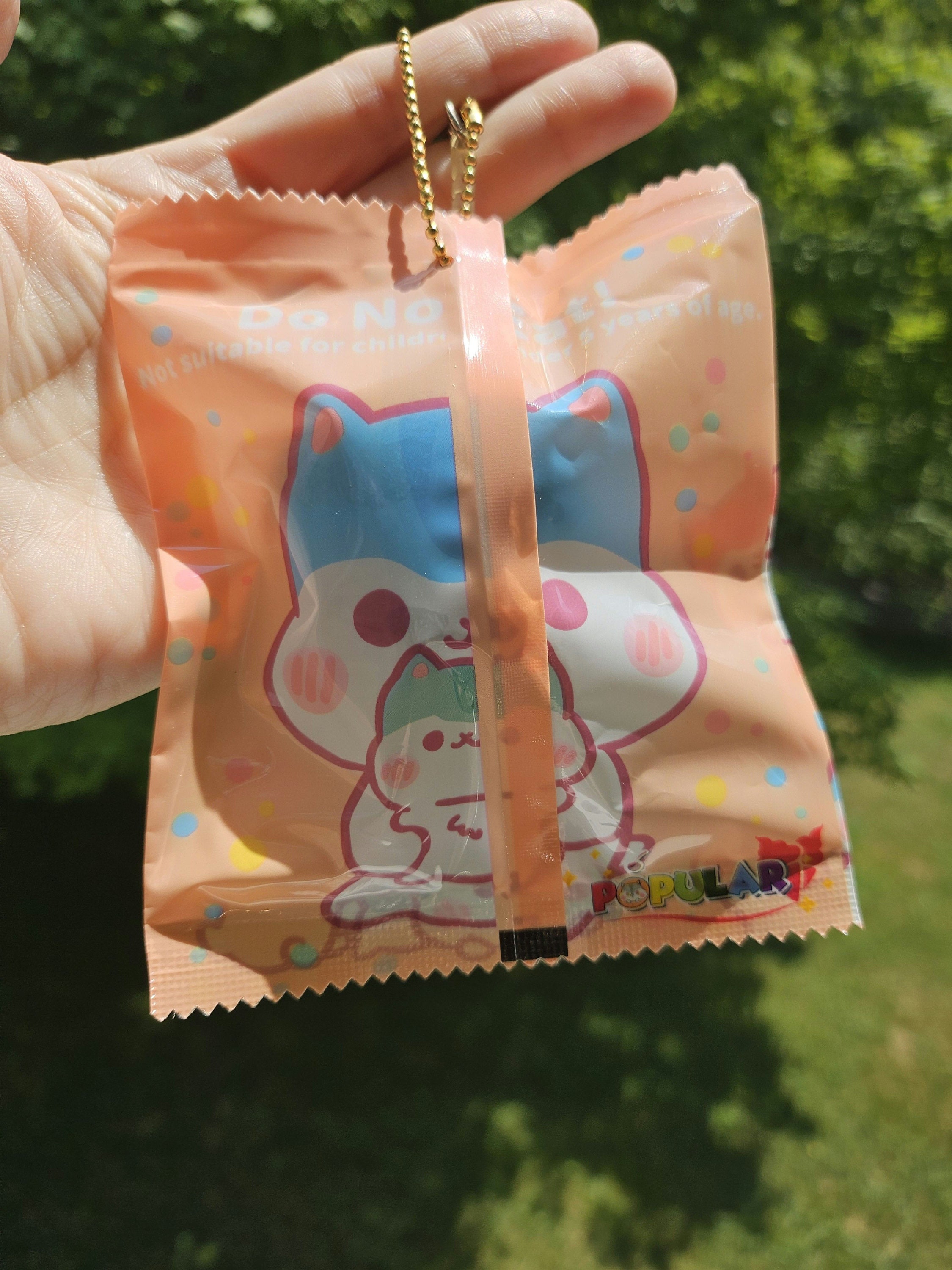 Baby Chibi Poli Hamster Mini Squishy Jenna Lyn Squishies - Etsy