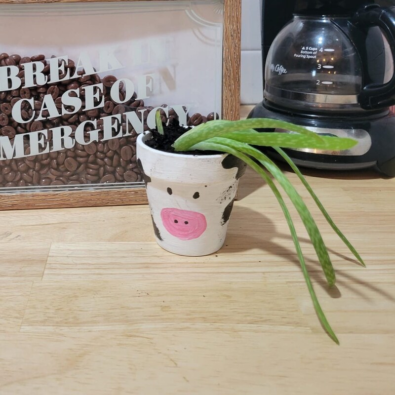 Cow Flower Pot - Etsy