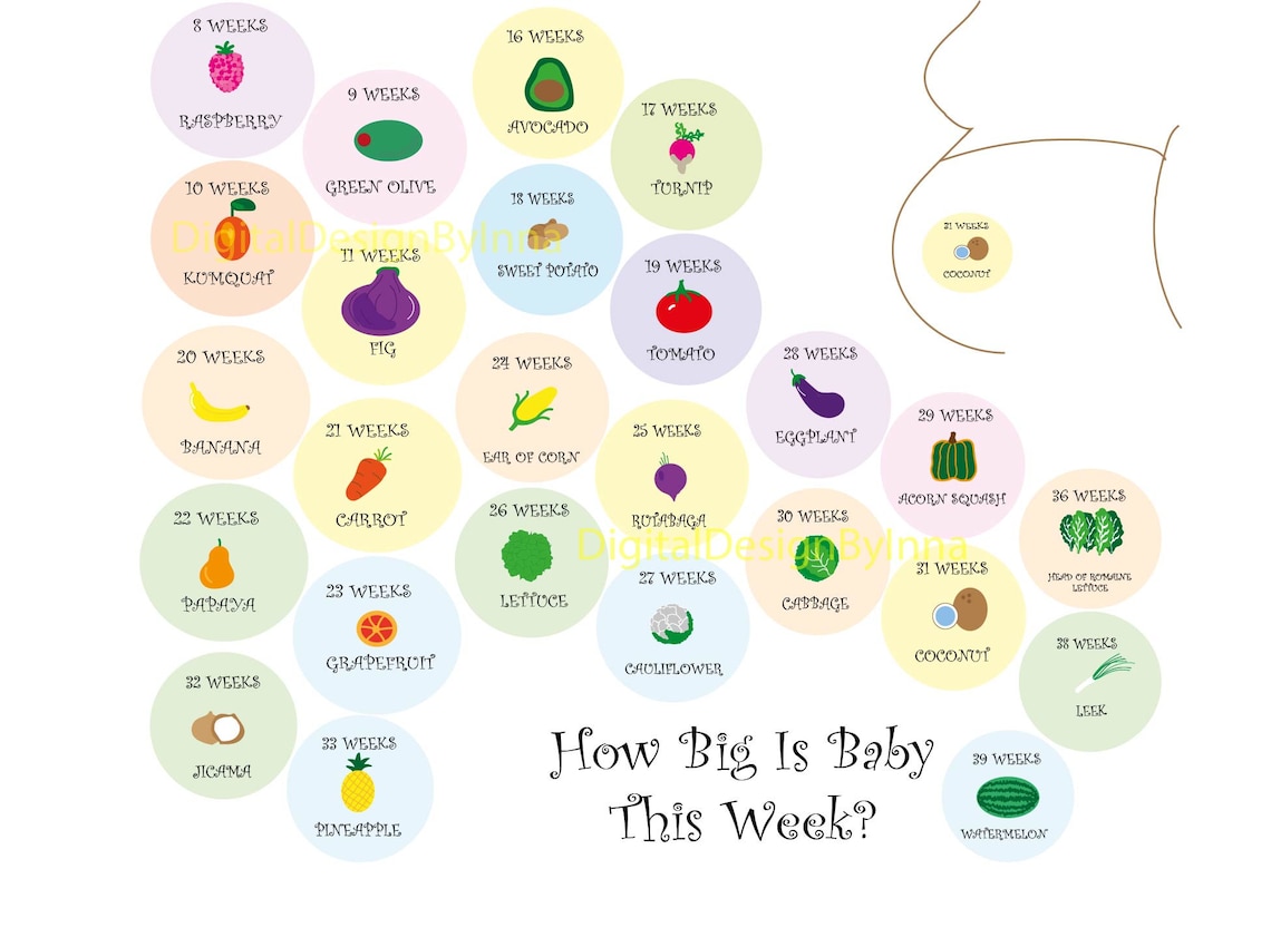 Printable Pregnancy Week with Fruit Baby Size by Week Fruit | Etsy
