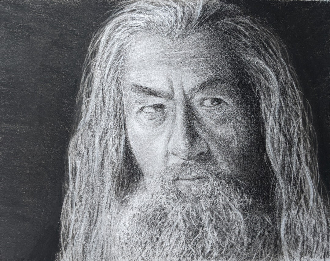 Custom Fantasy Art Portrait Lord of the Rings Art Charcoal Portrait Gandalf Samwise Frodo Custom ...