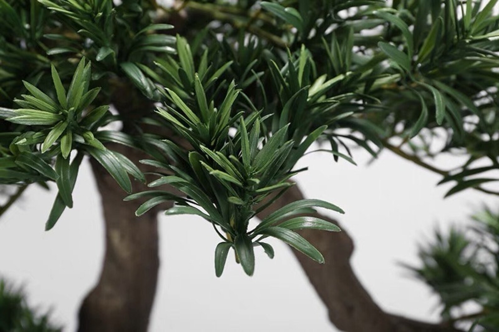 VICKY YAO Fine Art - Exclusively Design Handmade Faux Bonsai Art ...