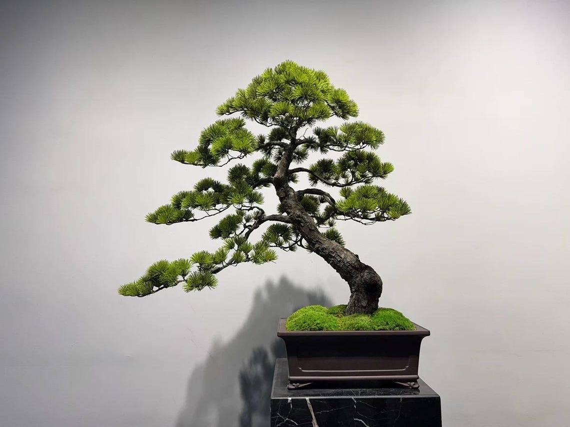 VICKY YAO Fine Bonsai - Exclusive Design Handmade Artificial Bonsai ...