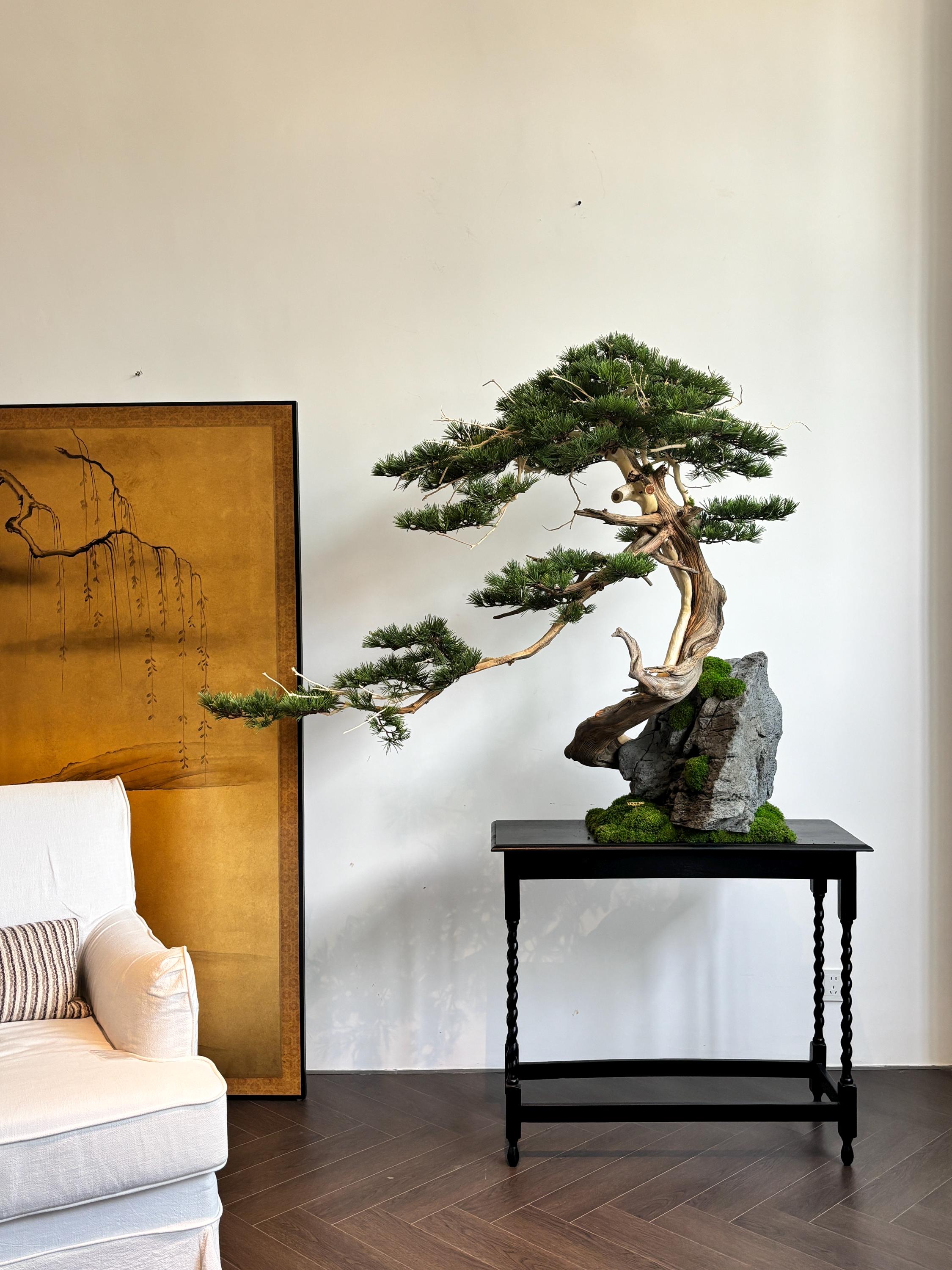 VICKY YAO Fine Bonsai - Exclusive One-of-a-kind Realistic Bonsai With ...