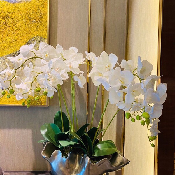 Shell Arrangements - Etsy