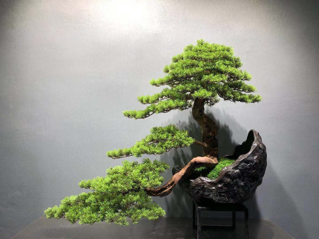 VICKY YAO Fine Bonsai - Exclusive Design Super Luxury Customized ...