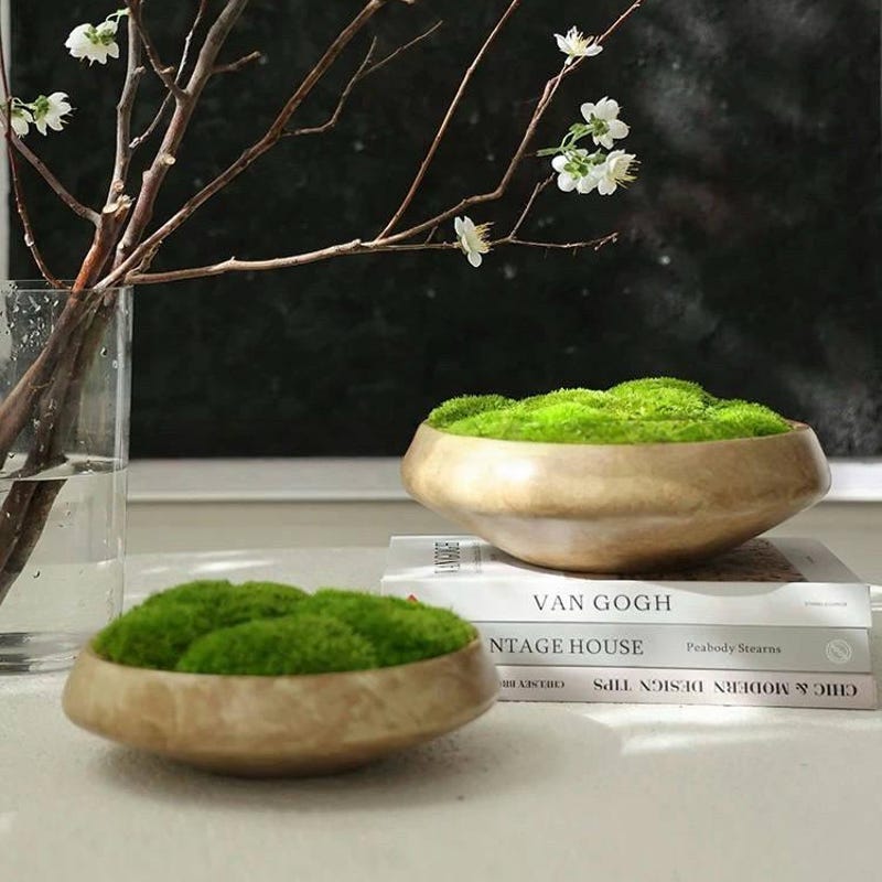 Moss Table Decor - Etsy