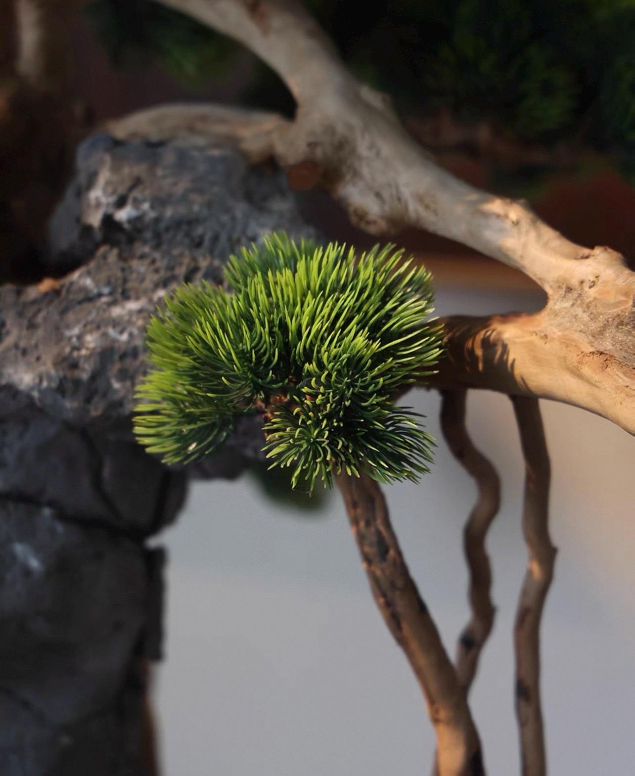 VICKY YAO Fine Bonsai - the One and Only Handcrafted Realistic Bonsai ...
