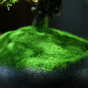 VICKY YAO- Permaplants Artificial Bonsai Tree Juniper Pine Realistic ...