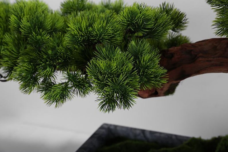 VICKY YAO Fine Bonsai - Realistic Hotel Style Bonsai Tree Art With ...