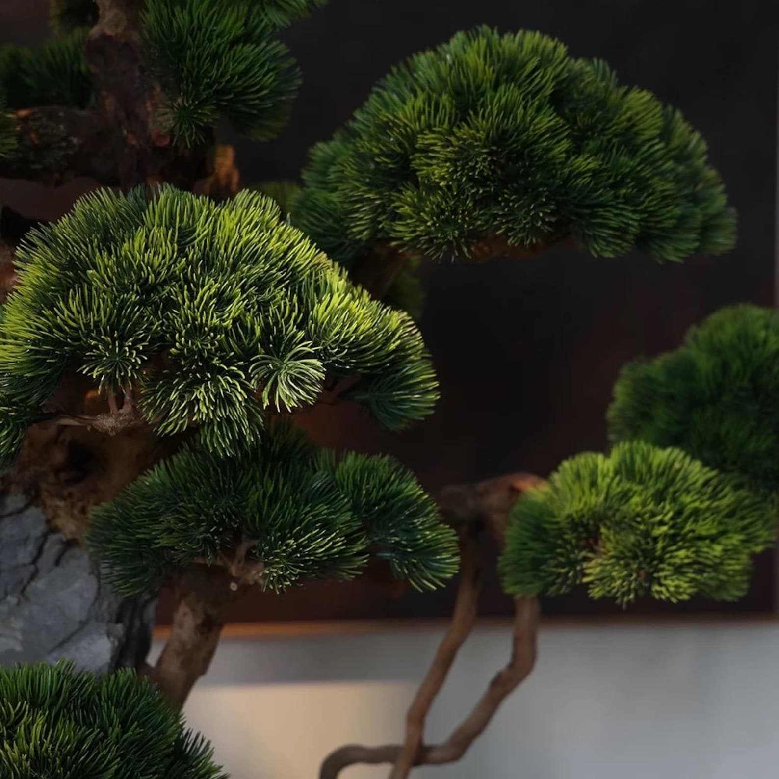 VICKY YAO Fine Bonsai - the One and Only Handcrafted Realistic Bonsai ...