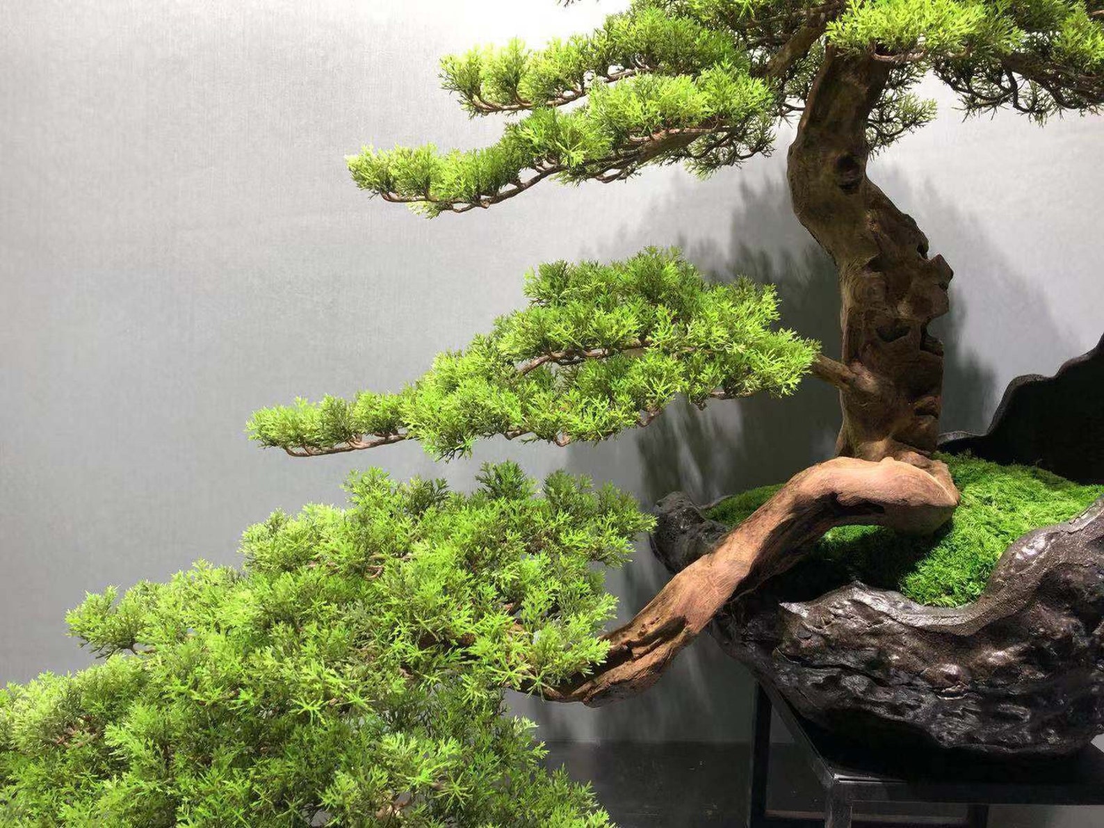VICKY YAO Fine Bonsai - Exclusive Design Super Luxury Customized ...