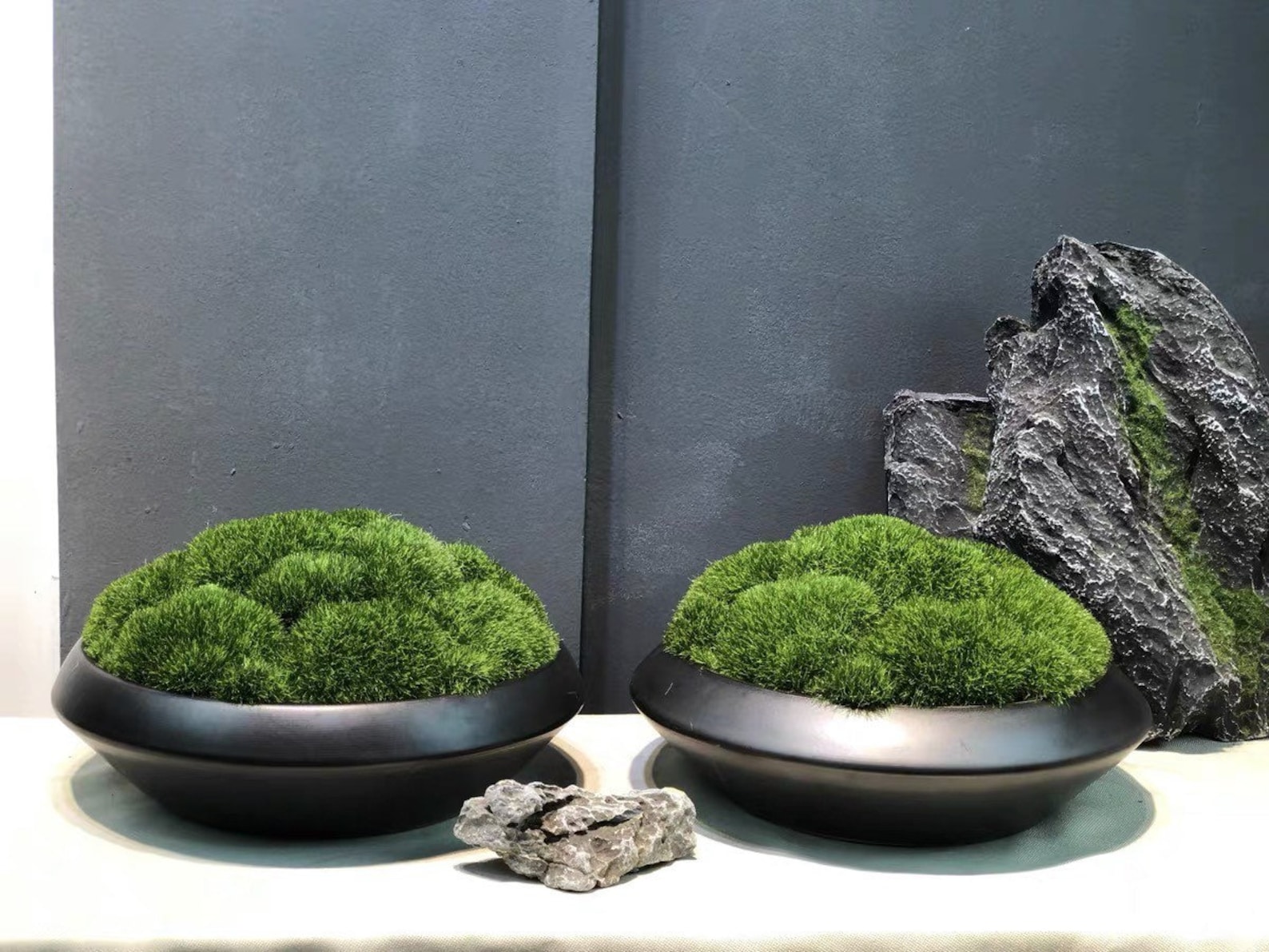 VICKY YAO Faux Plant - Exclusive Design Real Preserved Moss Bowl ...