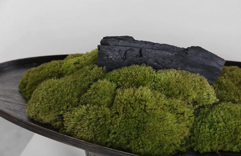 VICKY YAO - Modern Zen Moss Centerpiece | Elevated Tabletop Landscape ...