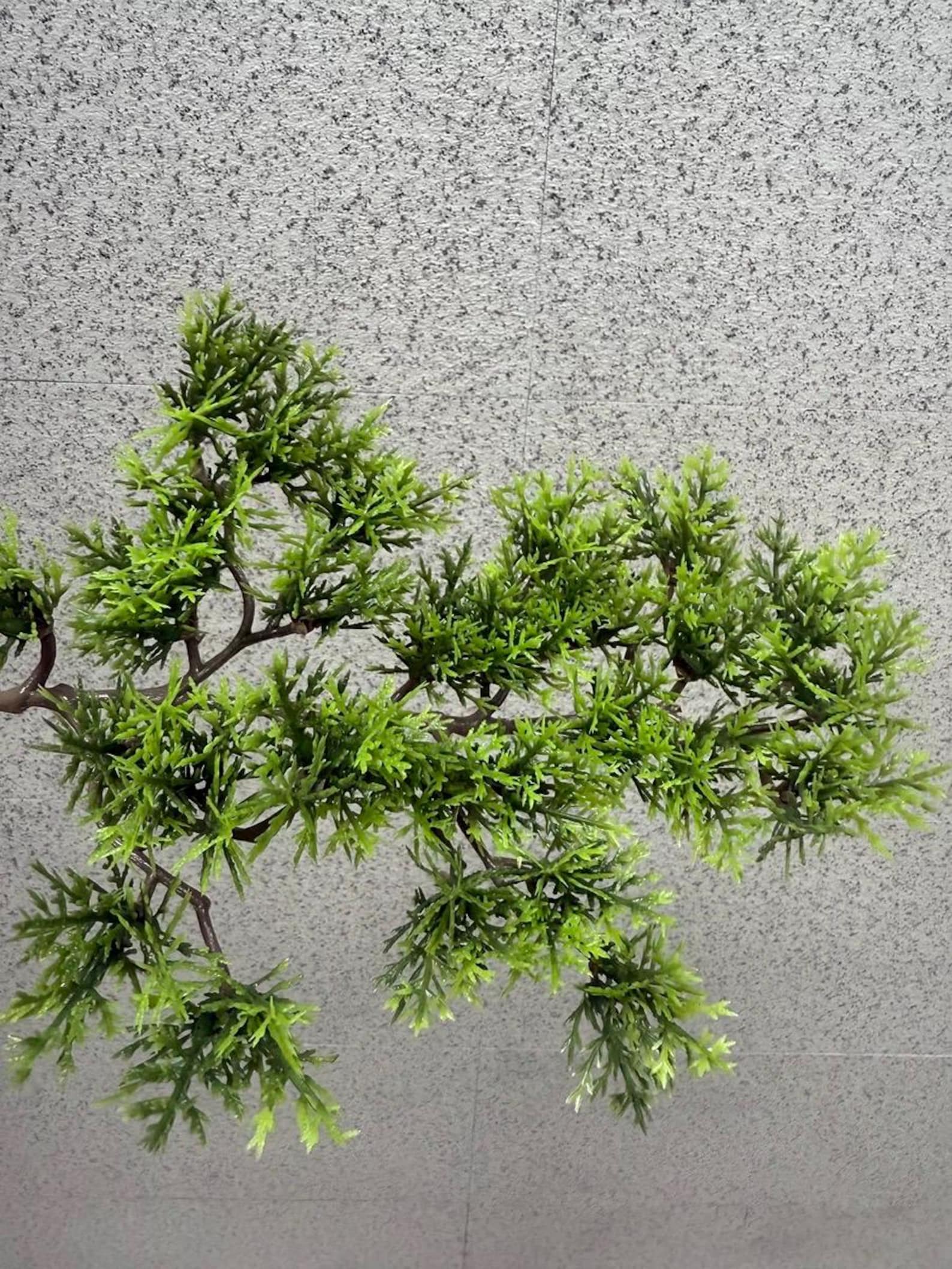 VICKY YAO Fine Bonsai - Exclusive Design Super Luxury Customized ...