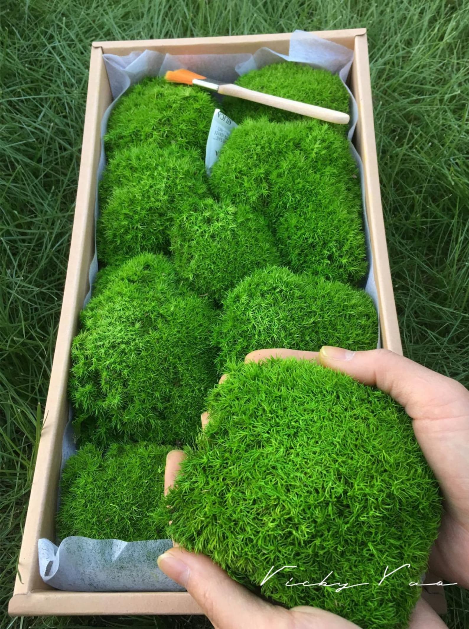 VICKY YAO Fine Bonsai - Exclusive Design Super Luxury Customized ...