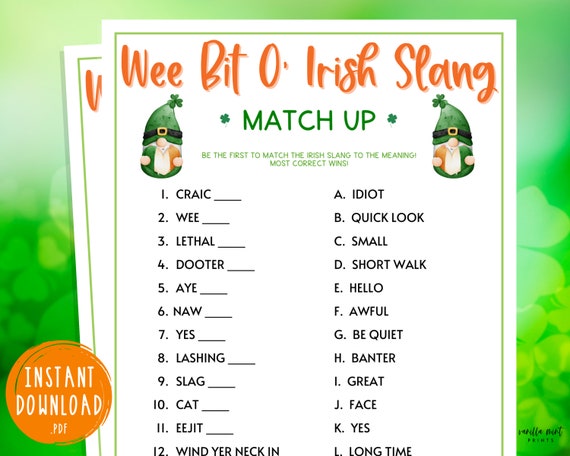 St. Patrick's Day Irish Slang Game Printable Game Fun | Etsy