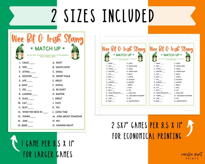St. Patrick's Day Irish Slang Game Printable Game Fun | Etsy