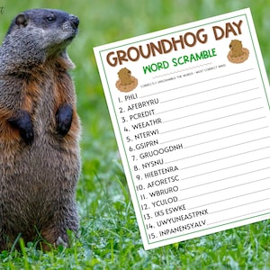 Groundhog Day Word Scramble Game Punxsutawney Phil Printable Games ...
