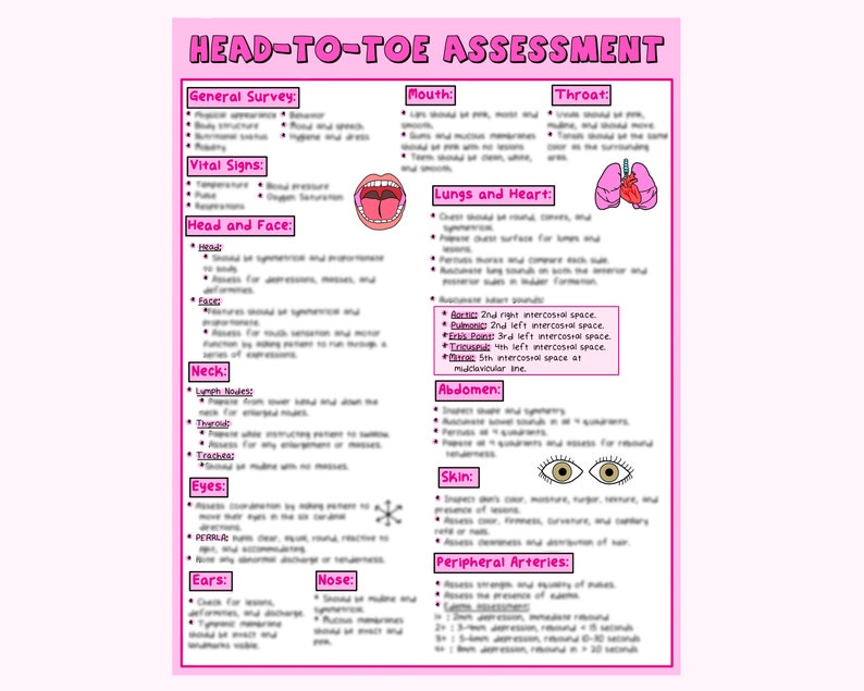 Head To Toe Assessment Nursing Study Guide Etsy