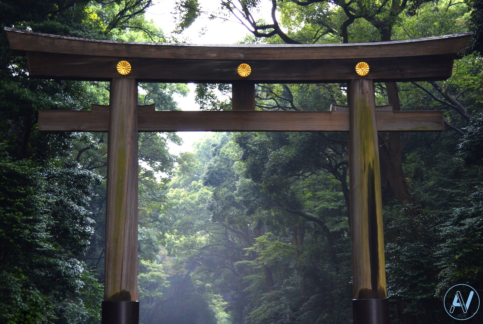 Tokyo Japan Torii Leading to Meiji Jingu Photo for Download - Etsy