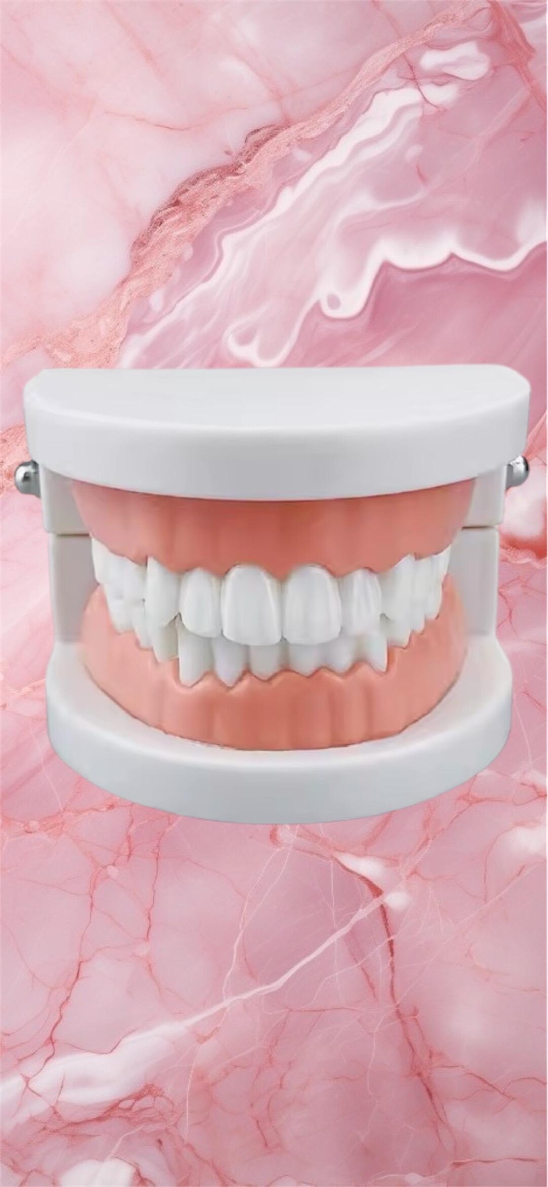 Dental Model Training Teeth Model for Dentist Technician/practice ...