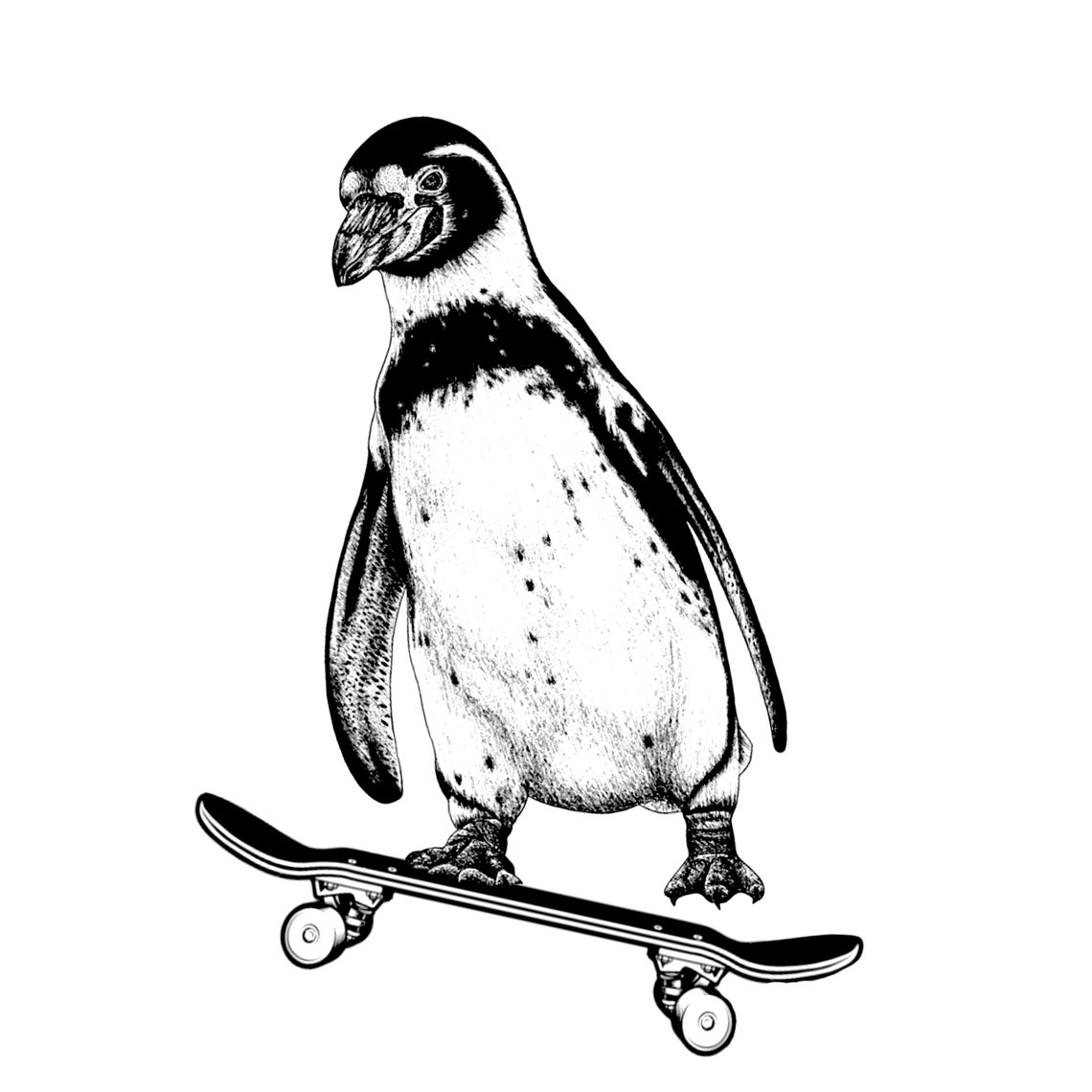 Penguin on Skateboard Tshirt - Penguin Riding Skateboard Penguin Lovers ...