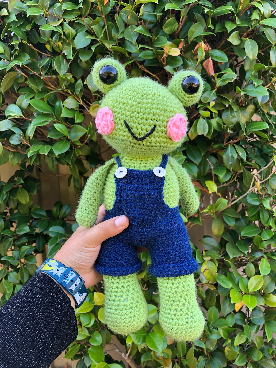 Crochet Amigurumi Frog Plushie - Etsy