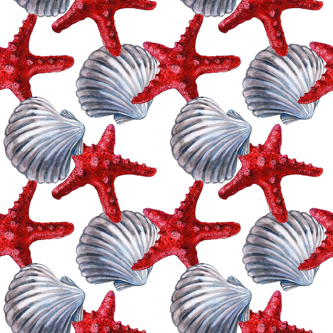 White Background Red Ocean Clam Shells Coral Upholstery - Etsy