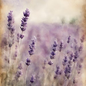 Shabby Chic Vintage Lavender Panel Fabric, Lavender and Birds Poster ...