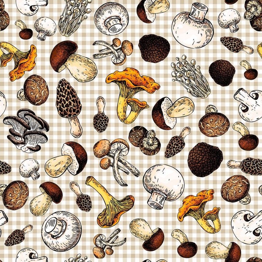 Craft Supplies & Tools Truffle Wrappers Cultured mushrooms fabric hand ...