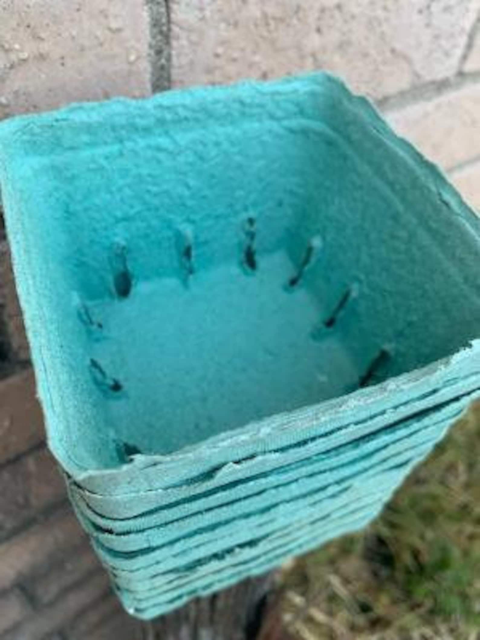 Set of 10 Pint Berry Baskets - Etsy