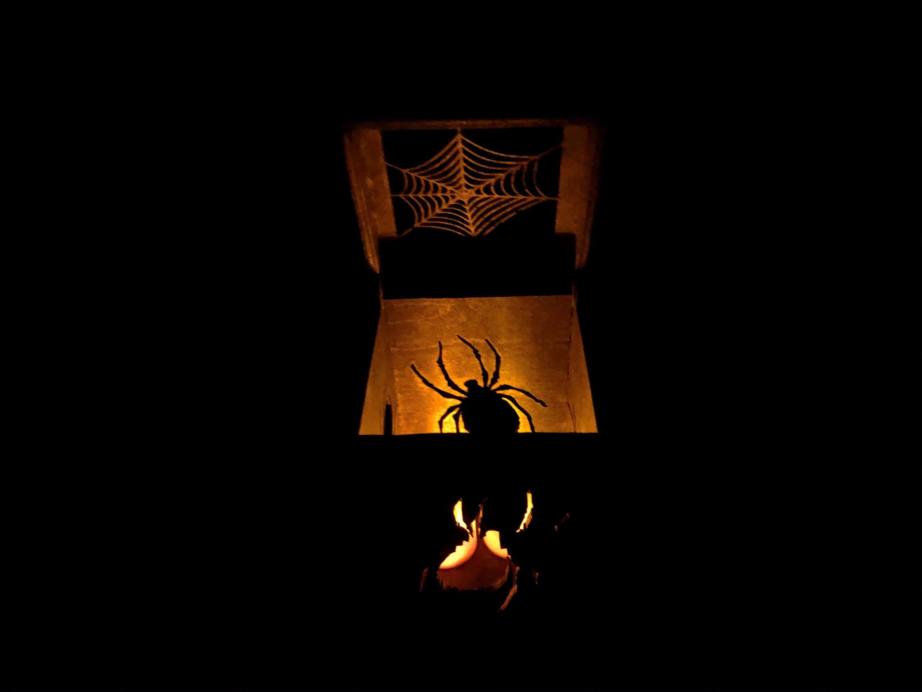 Spider Lantern SVG File for Glowforge or K40 - Etsy