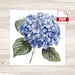 Cross Stitch Pattern: Blue Hydrangea Flower Bloom PDF Instant Download ...