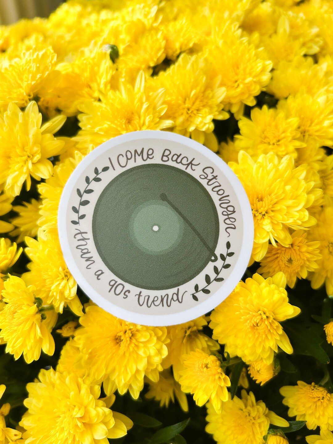 Willow Record Sticker - Etsy