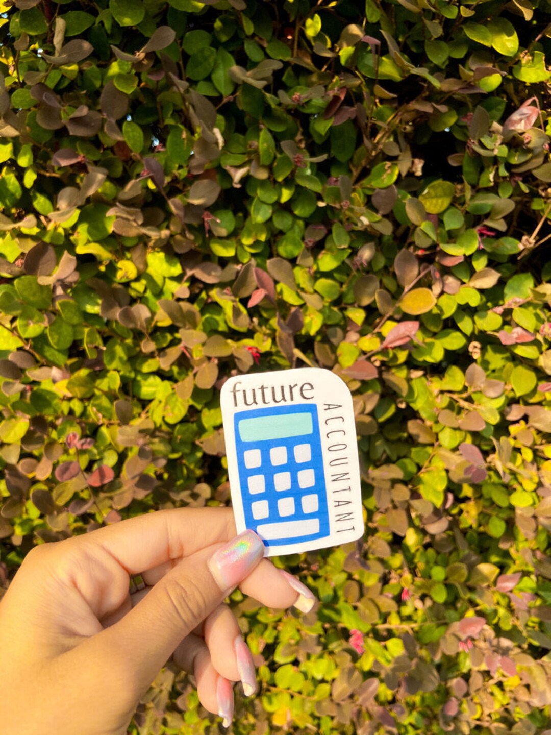 Future Accountant Sticker Future Career/job/occupation - Etsy