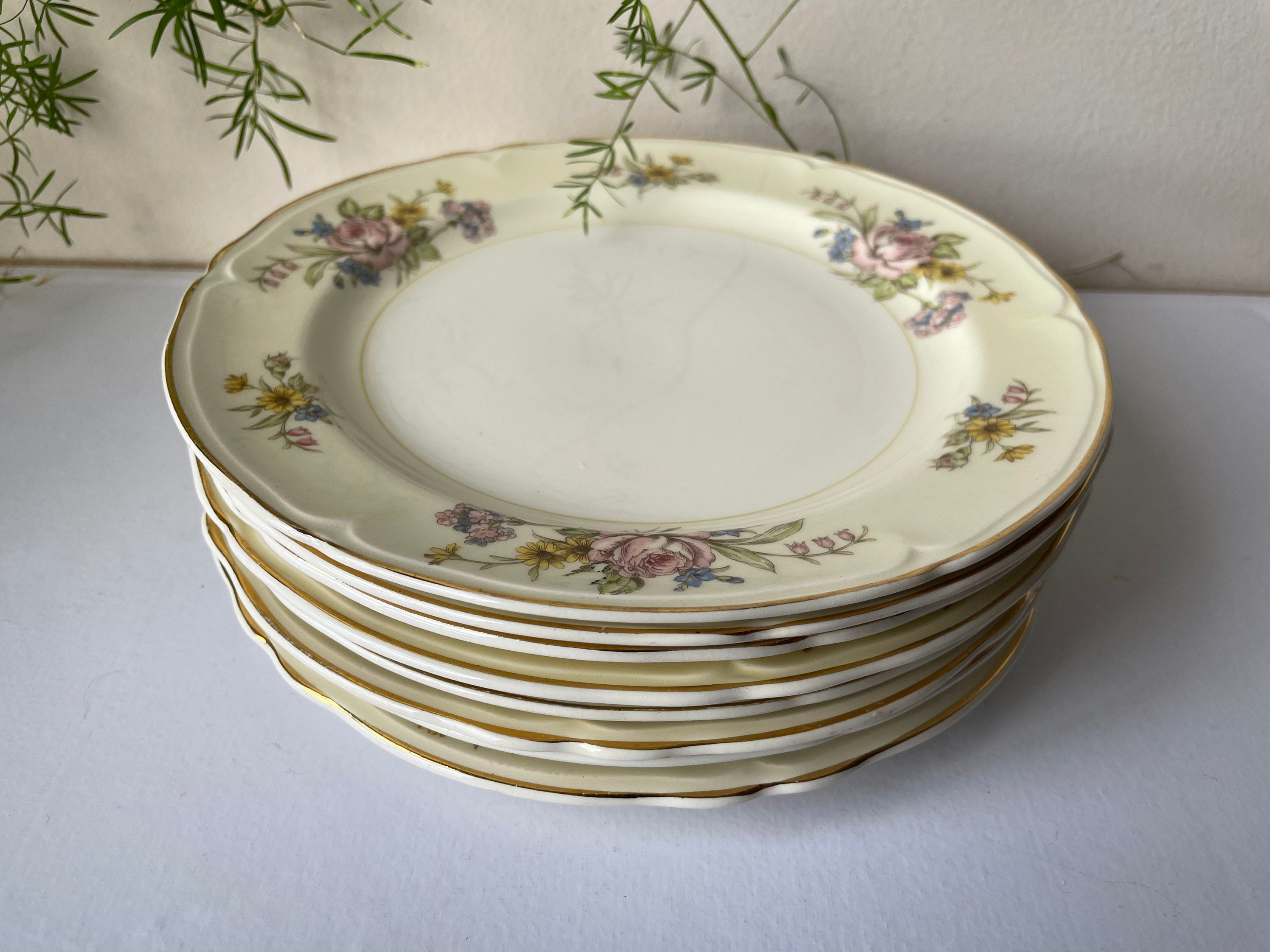 Set of 8 Vintage Semi Vitreous Edwin Knowles China Plates | Etsy