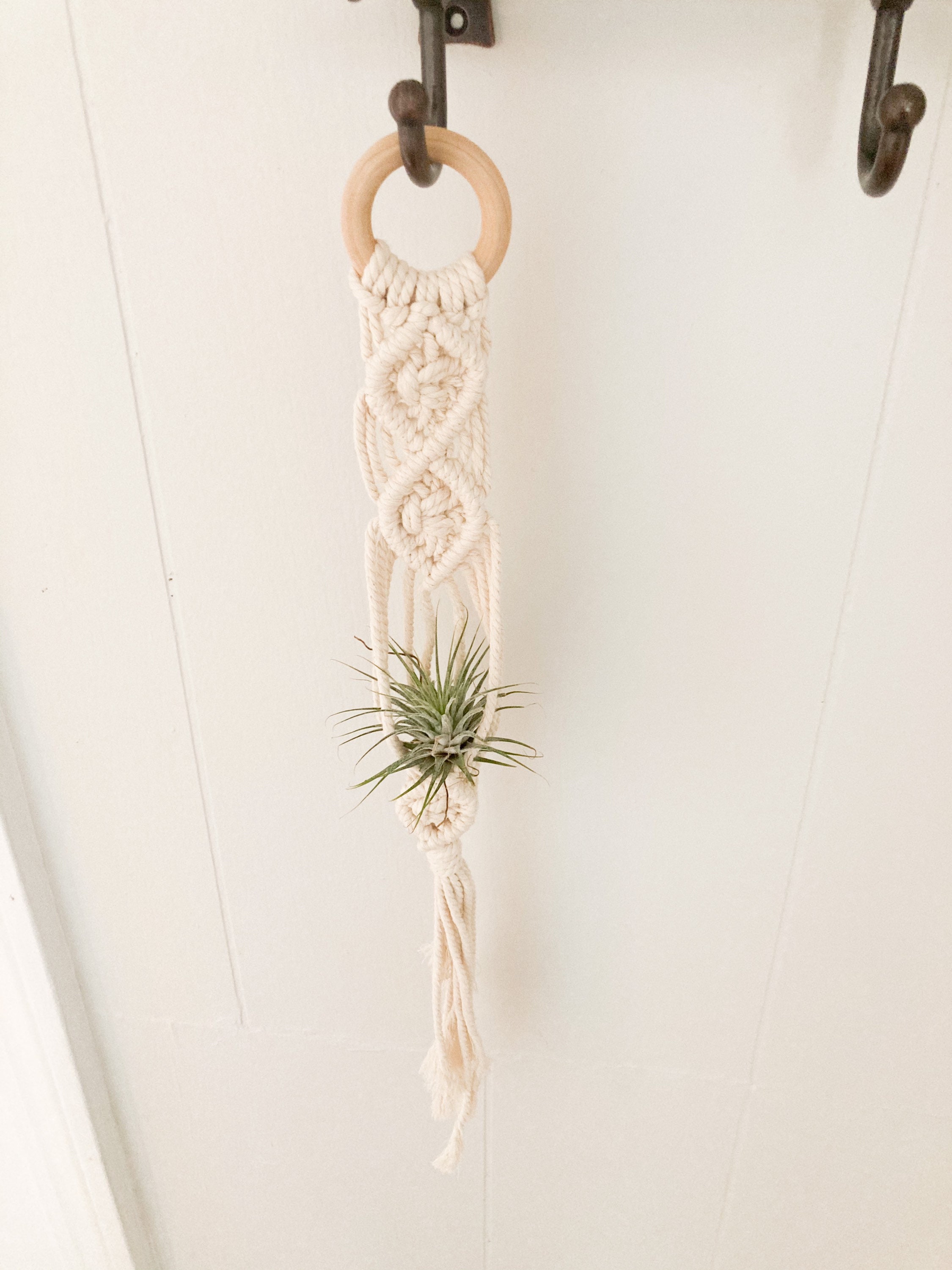 ARWEN Handmade Macrame Boho Air Plant Hanger | Etsy