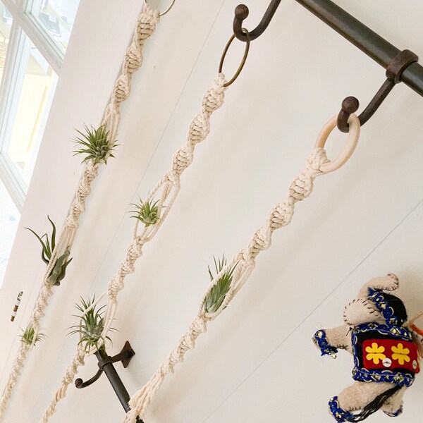 Air Plant Hanger - Etsy