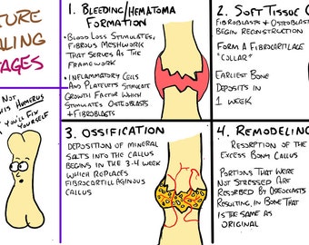 Nursing Note Taking Template. Pharmacology and Pathophysiology - Etsy