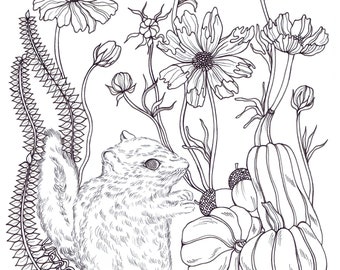 Realistic Chipmunk Coloring Pages
