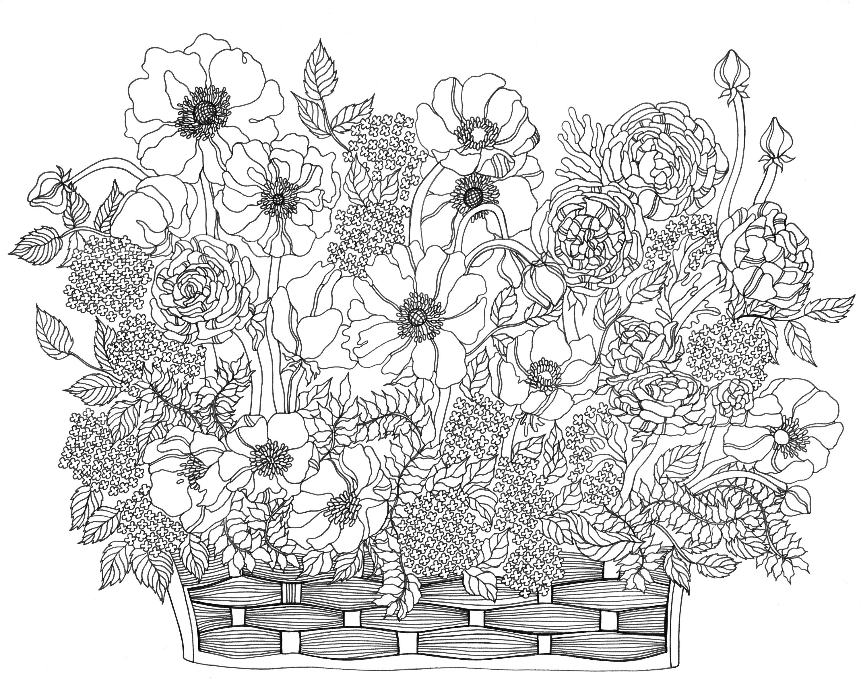 Intricate Flower Drawings