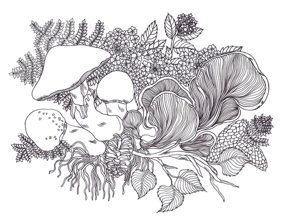 High Detailed Coloring Pages