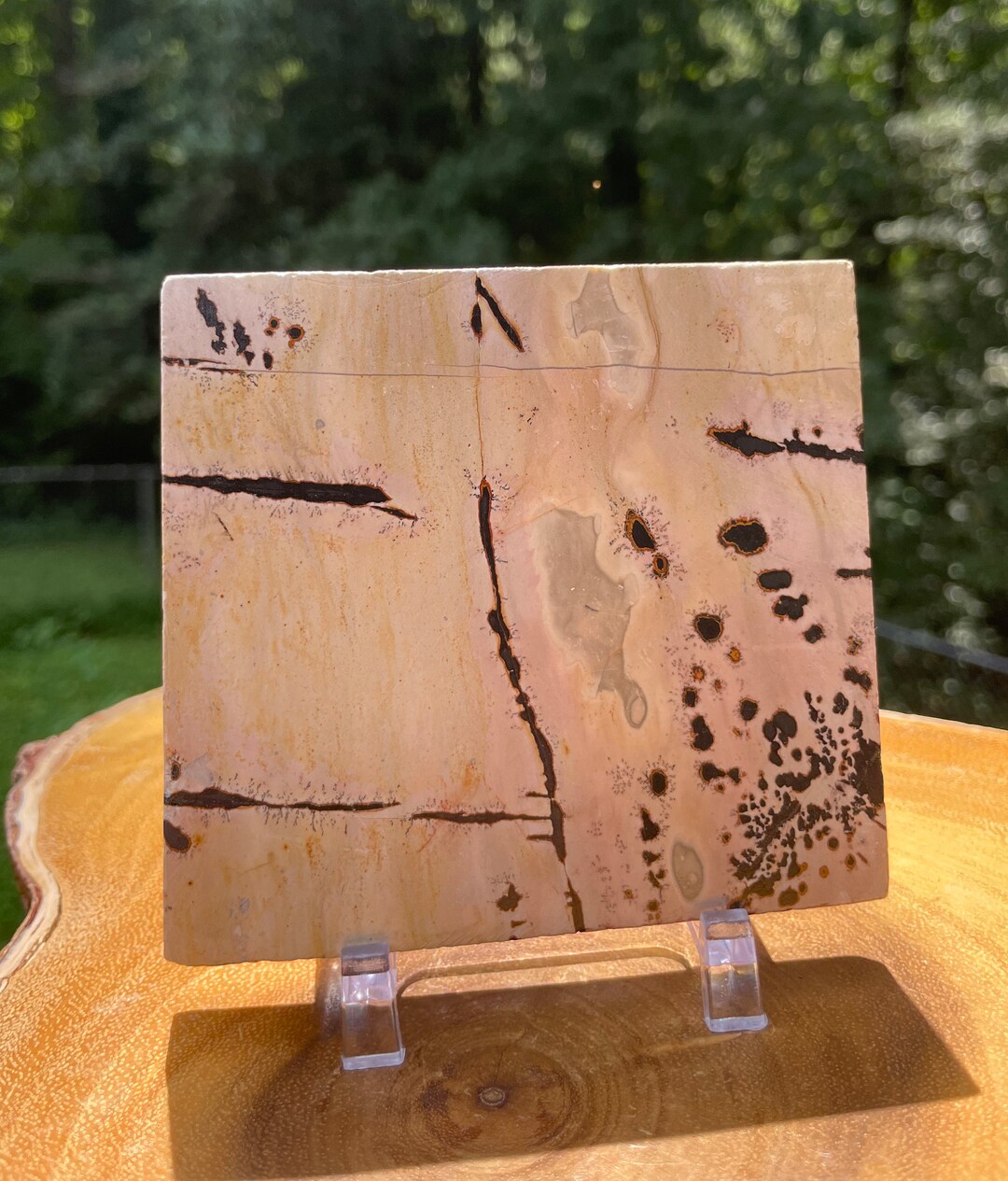 Beautiful Big Dendrite Siltstone Slab picture Jasper flower Stone - Etsy