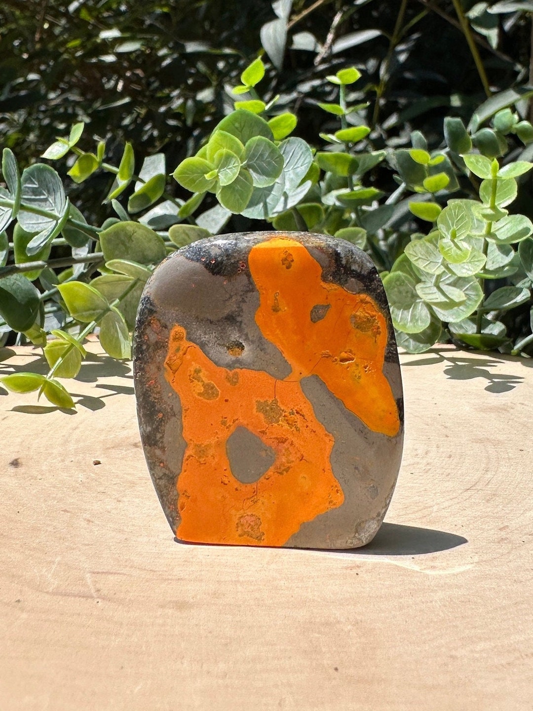 Bumble Bee Jasper Freeform adventure confidence self-esteem - Etsy
