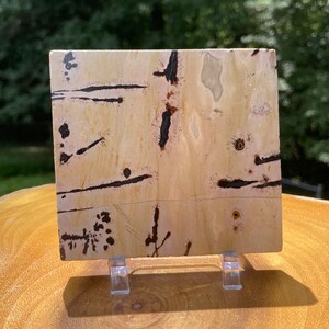 Beautiful Big Dendrite Siltstone Slab picture Jasper flower Stone - Etsy